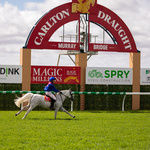 Murray Bridge Racing Club | Country Racing SA