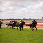 Murray Bridge Racing Club | Country Racing SA