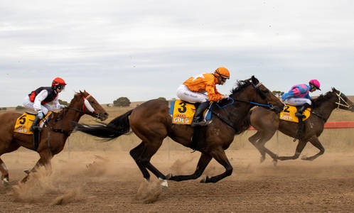 News | Country Racing SA