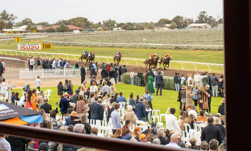 News | Country Racing SA