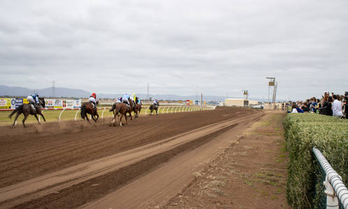 News | Country Racing SA