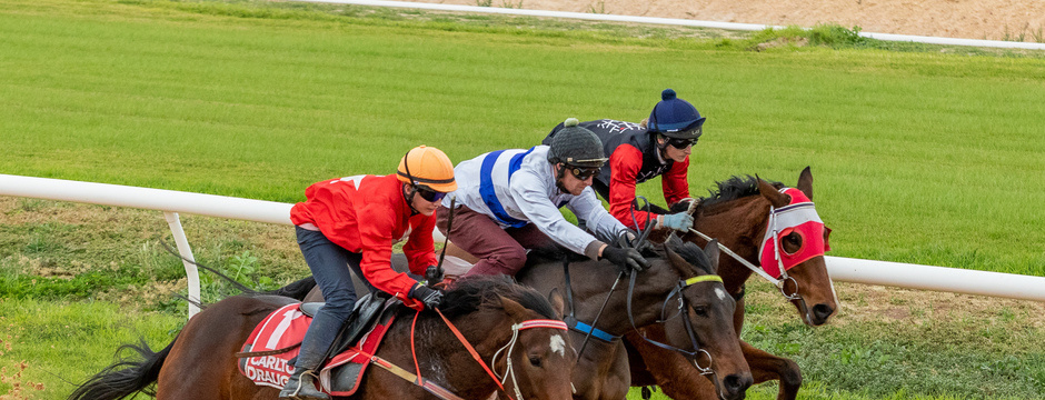 Mount Gambier | Mount Gambier Racing Club | Country Racing SA