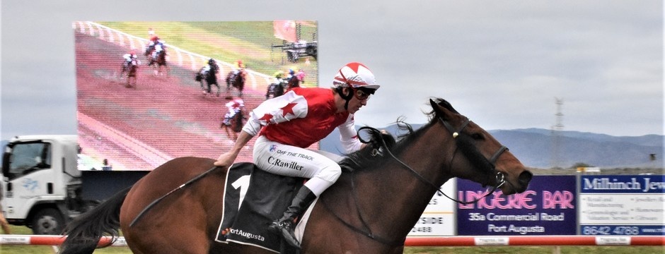 City of Port Augusta Cup | Port Augusta | Country Racing SA