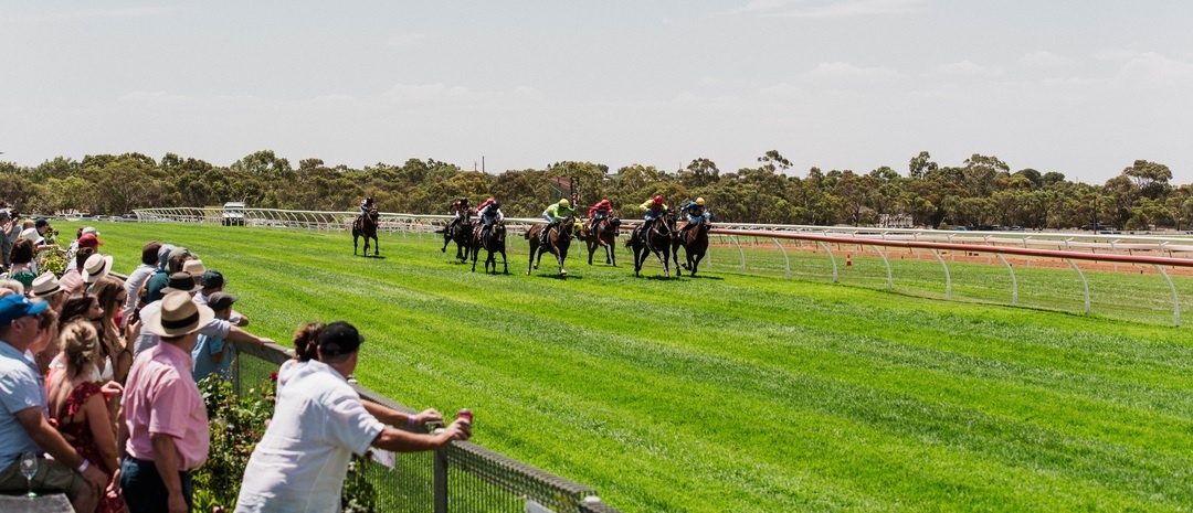 Race Days | Strathalbyn | Country Racing SA