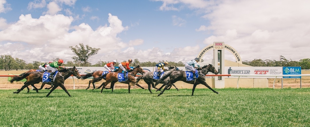 Race Days | Bordertown | Country Racing SA