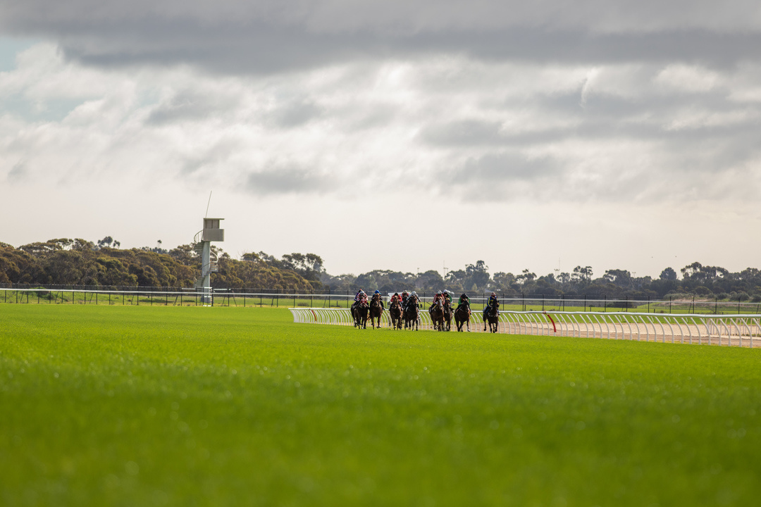 Murray Bridge Westonians Raceday | Murray Bridge Racing Club | Country ...