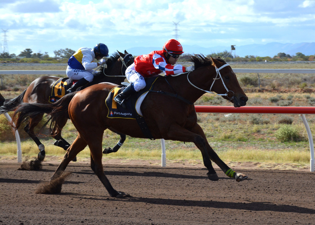 Flying Doctor Race Day | Port Augusta | Country Racing SA