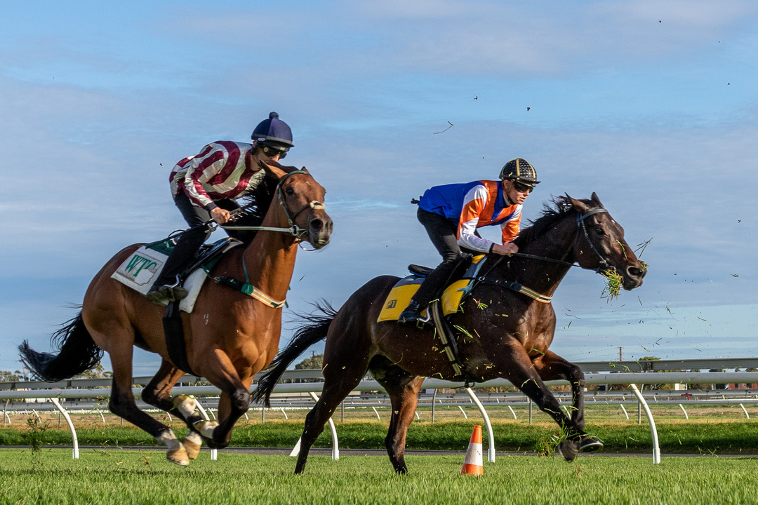 Jump Outs | Murray Bridge Racing Club | Country Racing SA