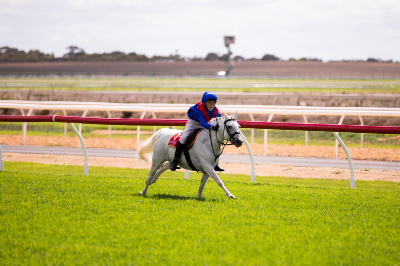 Murray Bridge Racing Club | Country Racing SA