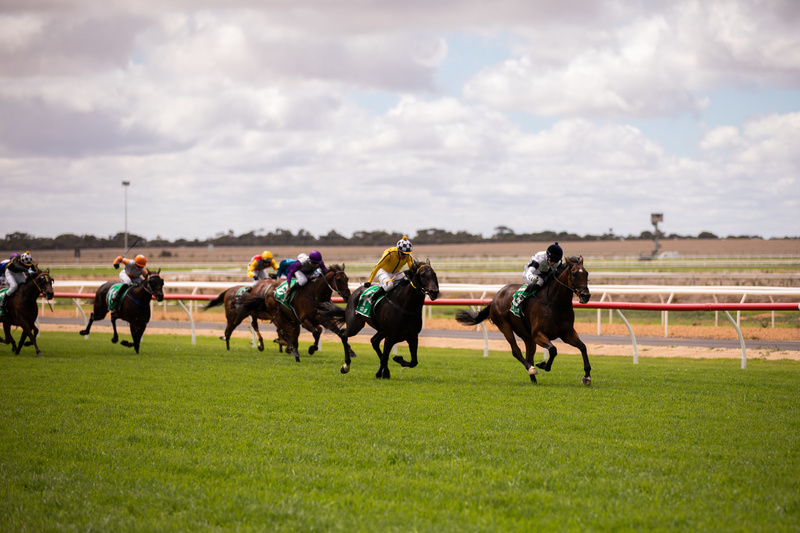 Murray Bridge Racing Club | Country Racing SA