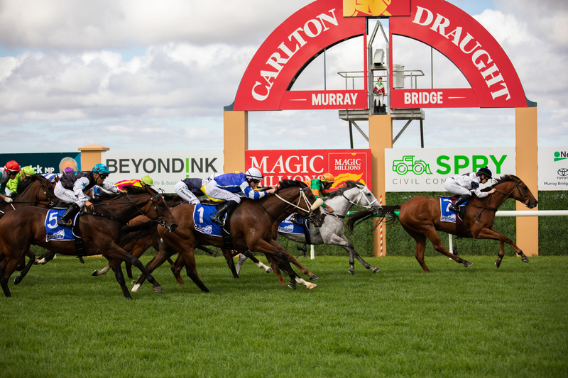 Murray Bridge Racing Club | Country Racing SA Murray Bridge Racing Club | Country Racing SA