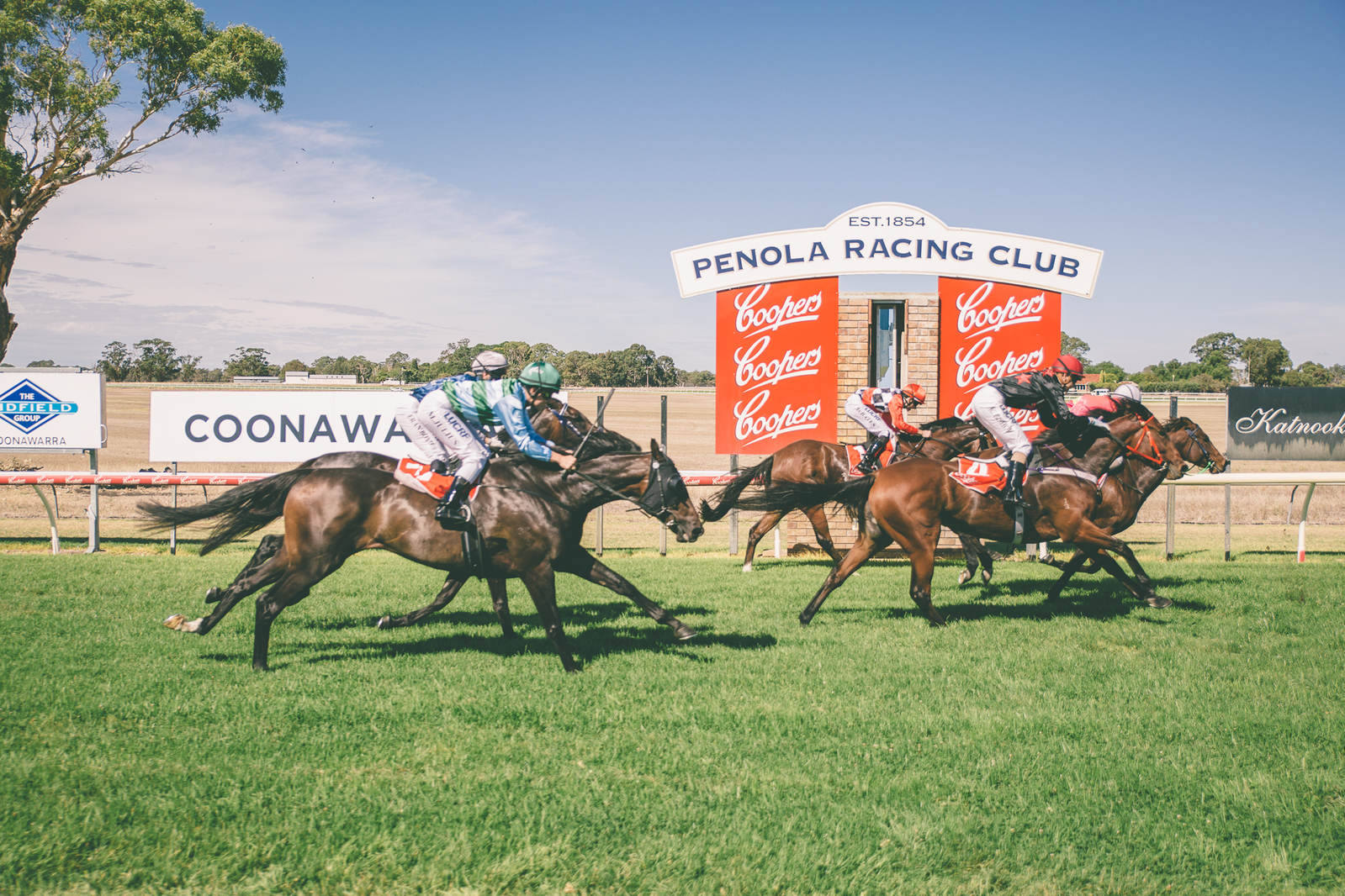 Zebrinz Returns for Penola Redemption | Country Racing SA