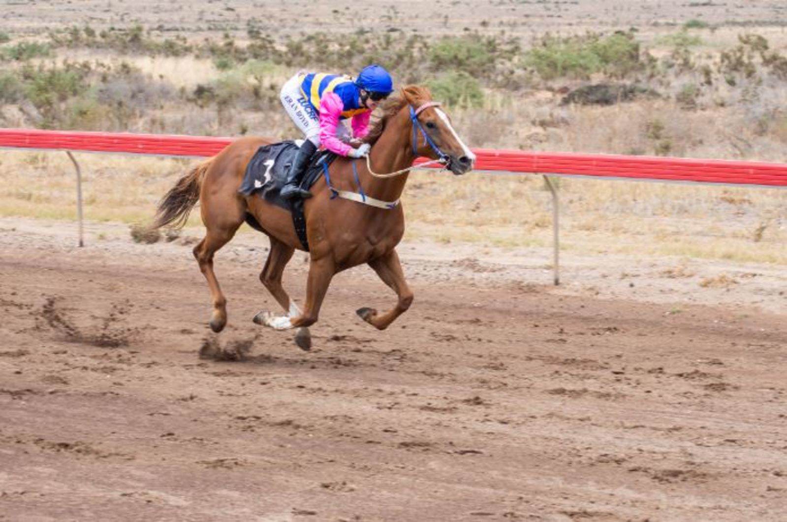 Eye The World has his sights on another Ceduna Cup | Country Racing SA