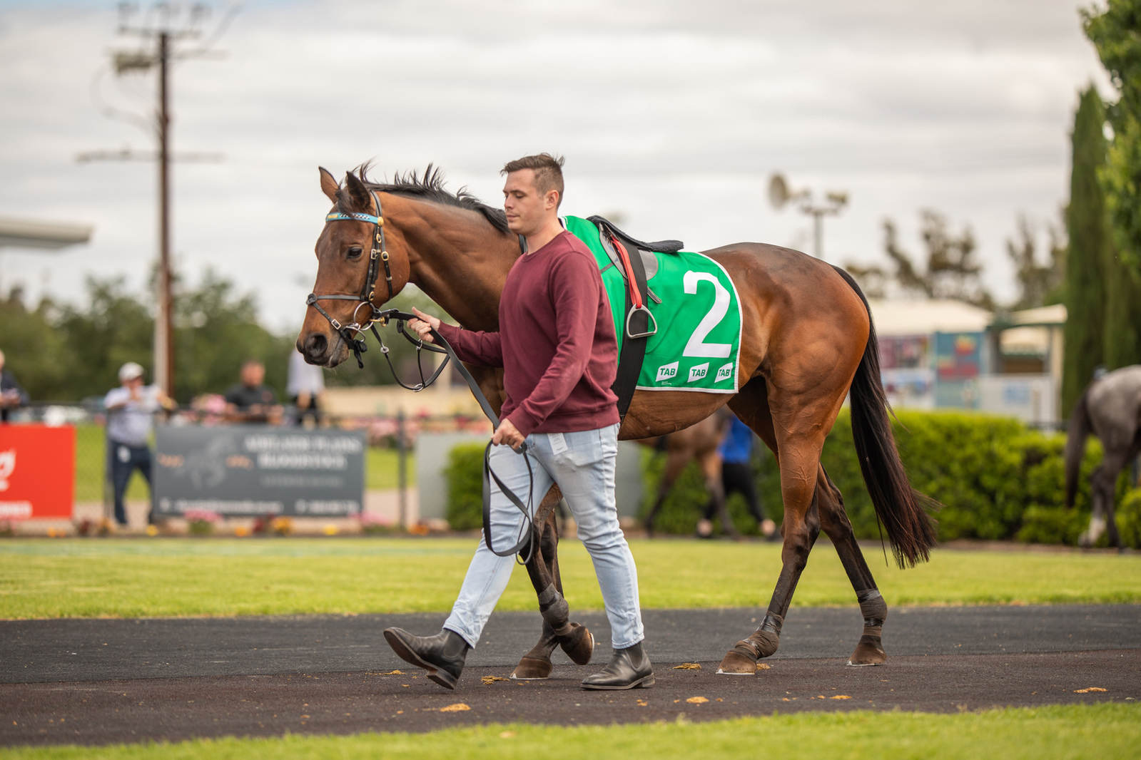 Jake’s passion leads to new career pathway | Country Racing SA