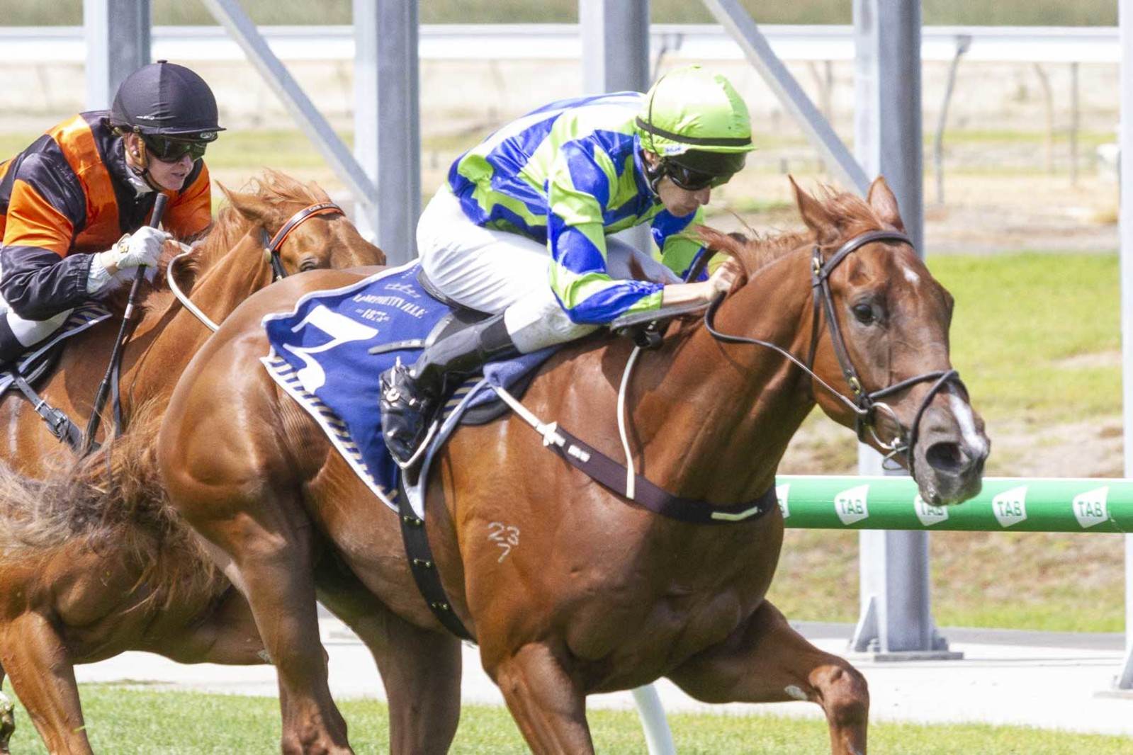 Beau Rossa chasing riches in sunshine state | Country Racing SA