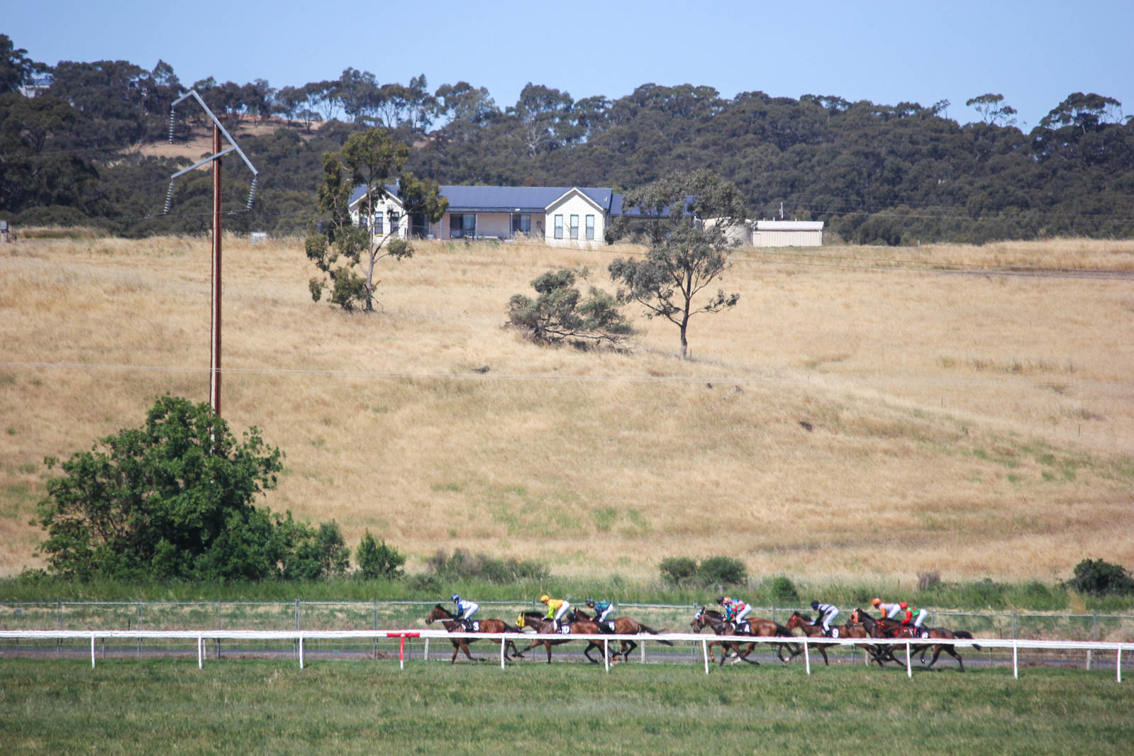 Clare Valley Easter Races | Country Racing SA