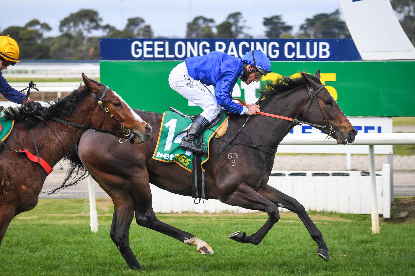 Can Zapateo secure Godolphin an elusive Sangster Stakes win? | Country ...