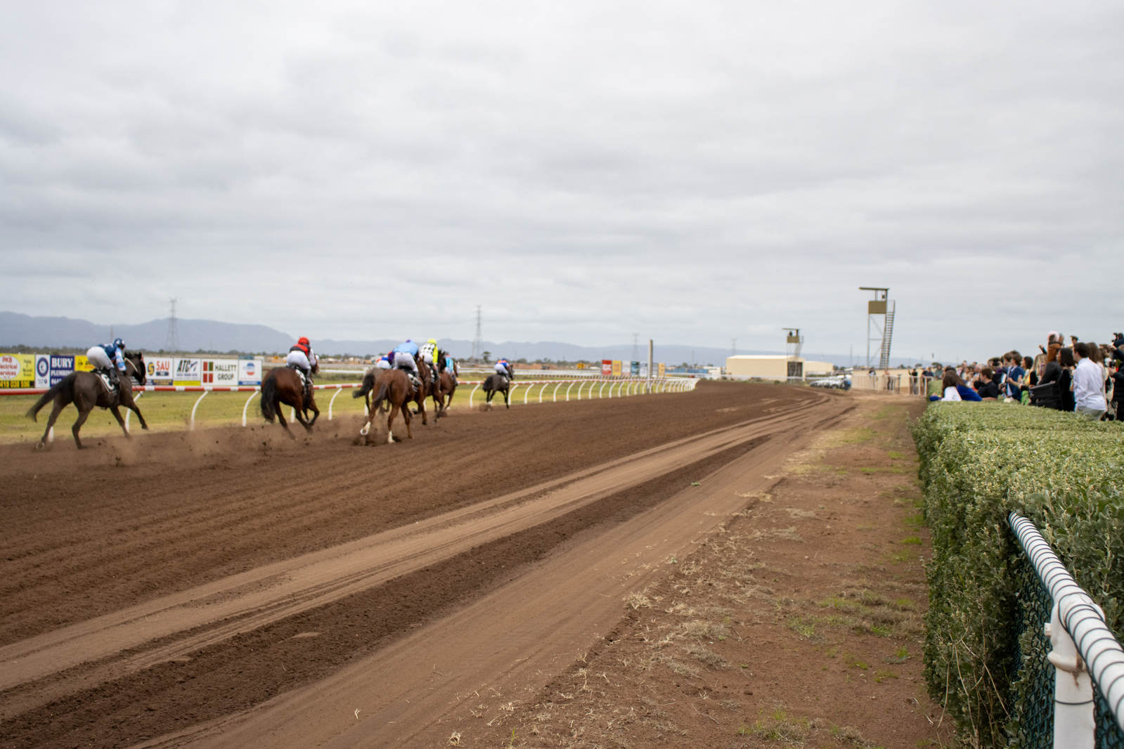 Racing returns to Port Augusta | Country Racing SA