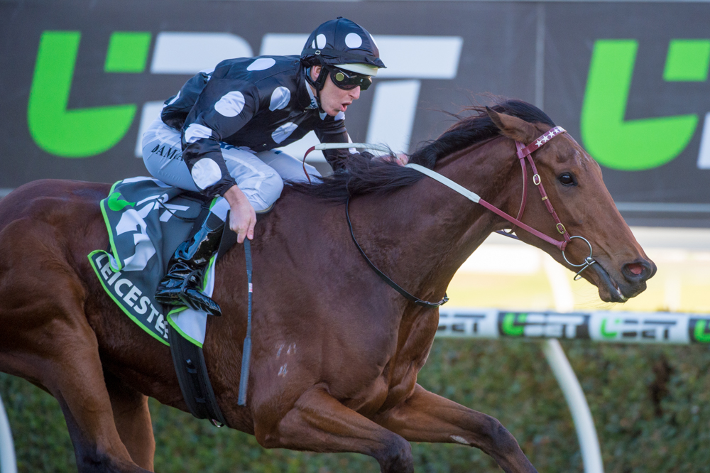 Group 1 South Australian Derby Day preview | Country Racing SA