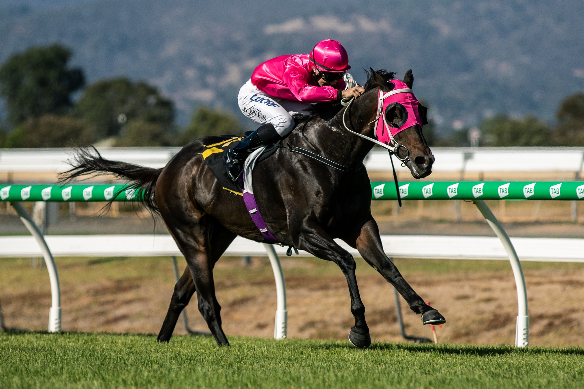 Jones back in the fast lane | Country Racing SA