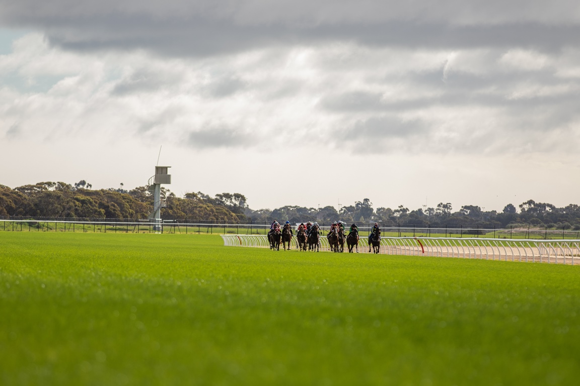MEDIA RELEASE: Debut Mid-week Race at the new Murray Bridge Racecourse ...