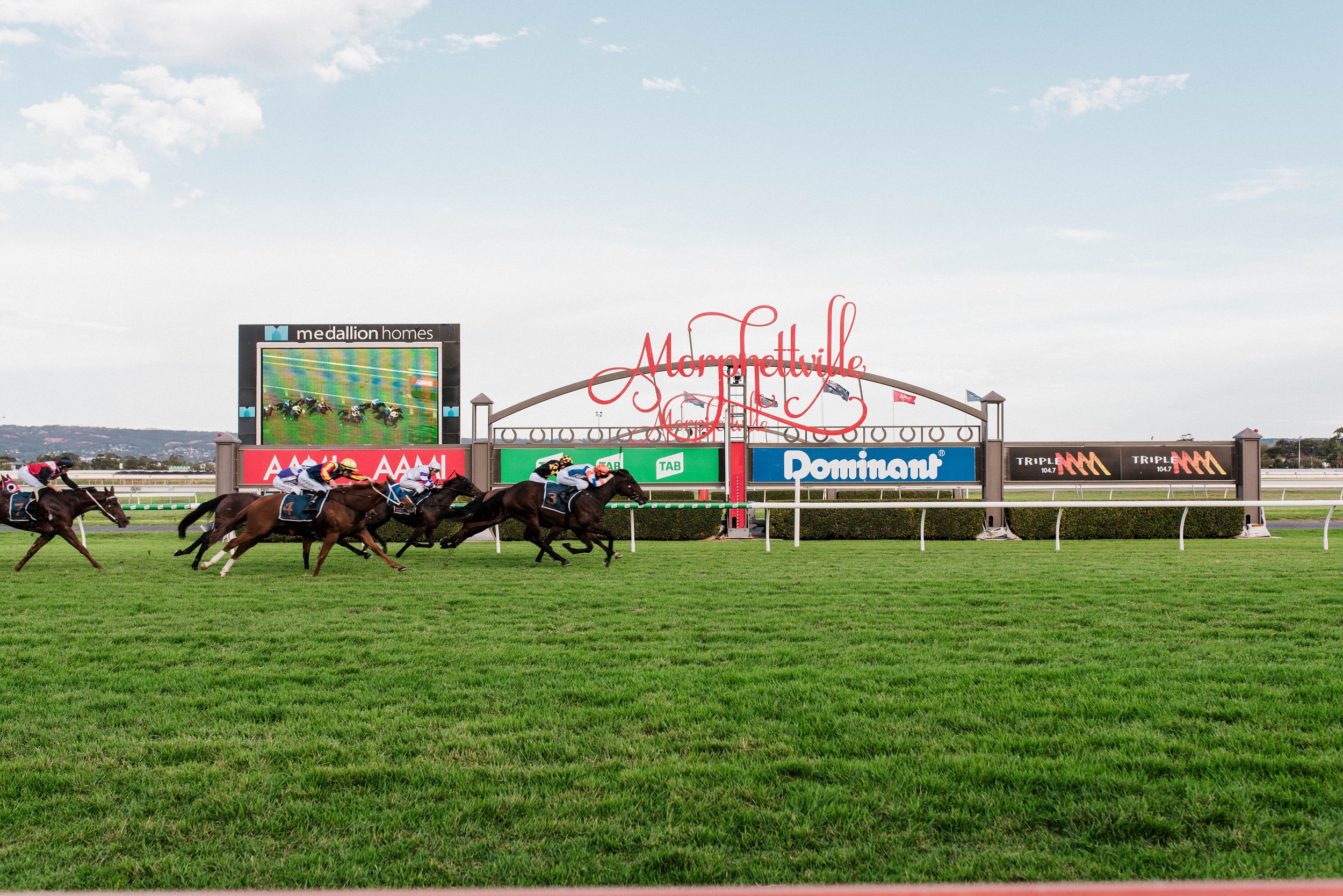 Group 3 Spring Stakes Form Guide | Country Racing SA