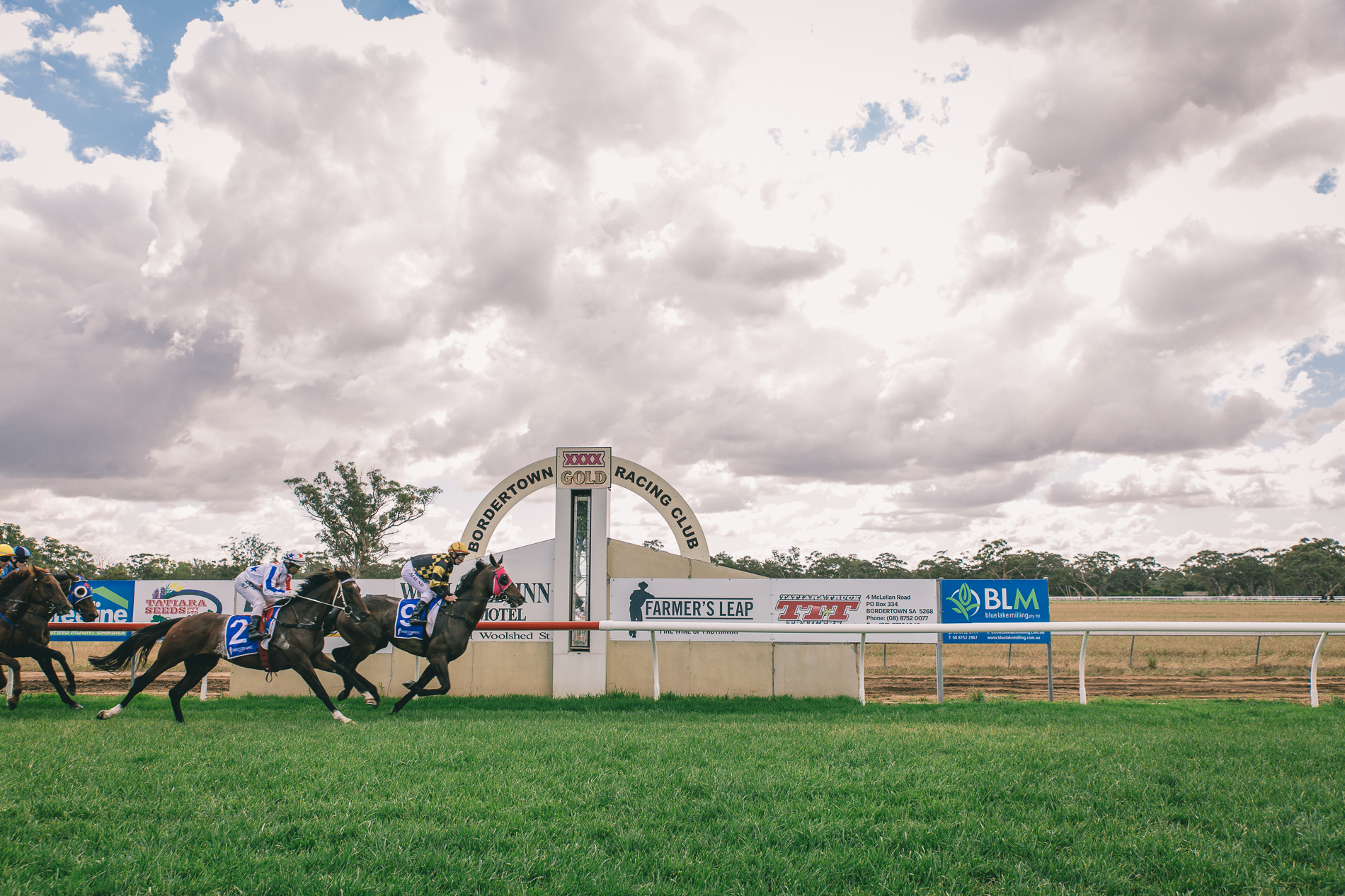 Bordertown Cup Preview | Country Racing SA