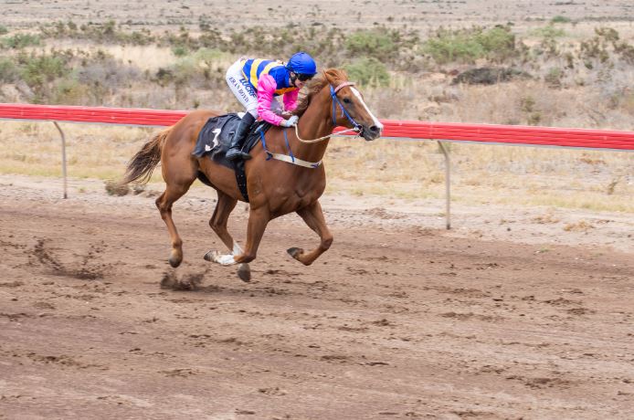 Eye The World has his sights on another Ceduna Cup | Country Racing SA