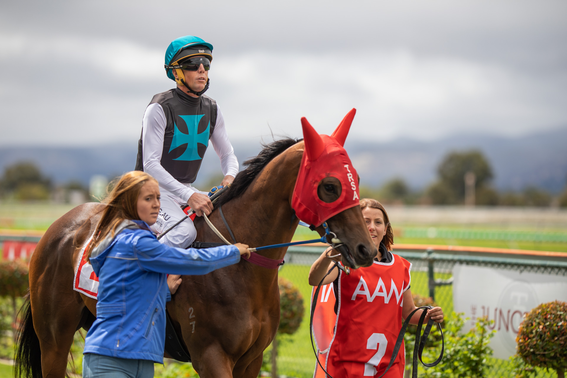 Unbeaten South Aussie aims for black type | Country Racing SA