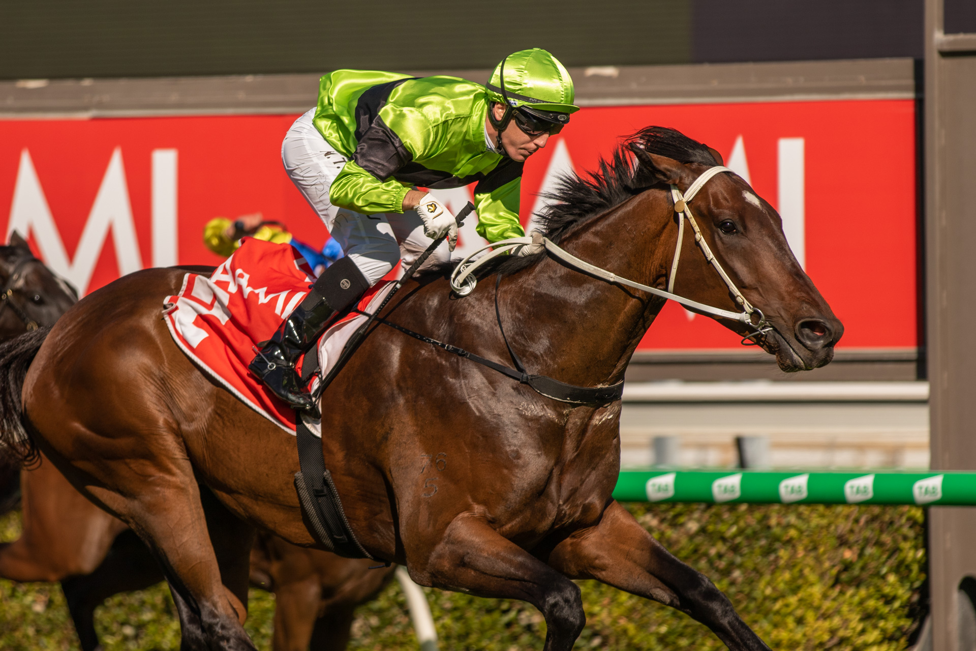 Farooq looks fine for Penola Cup | Country Racing SA