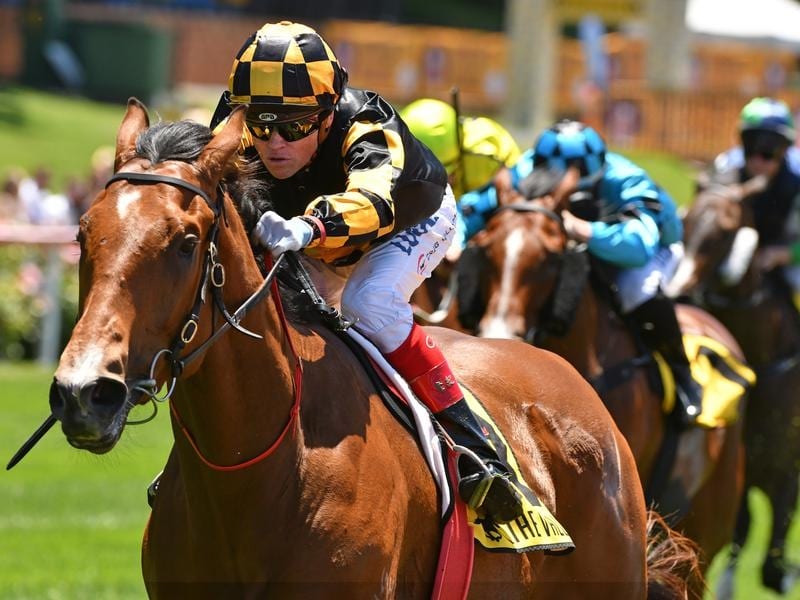 DC McKay Stakes a highlight of strong support card | Country Racing SA