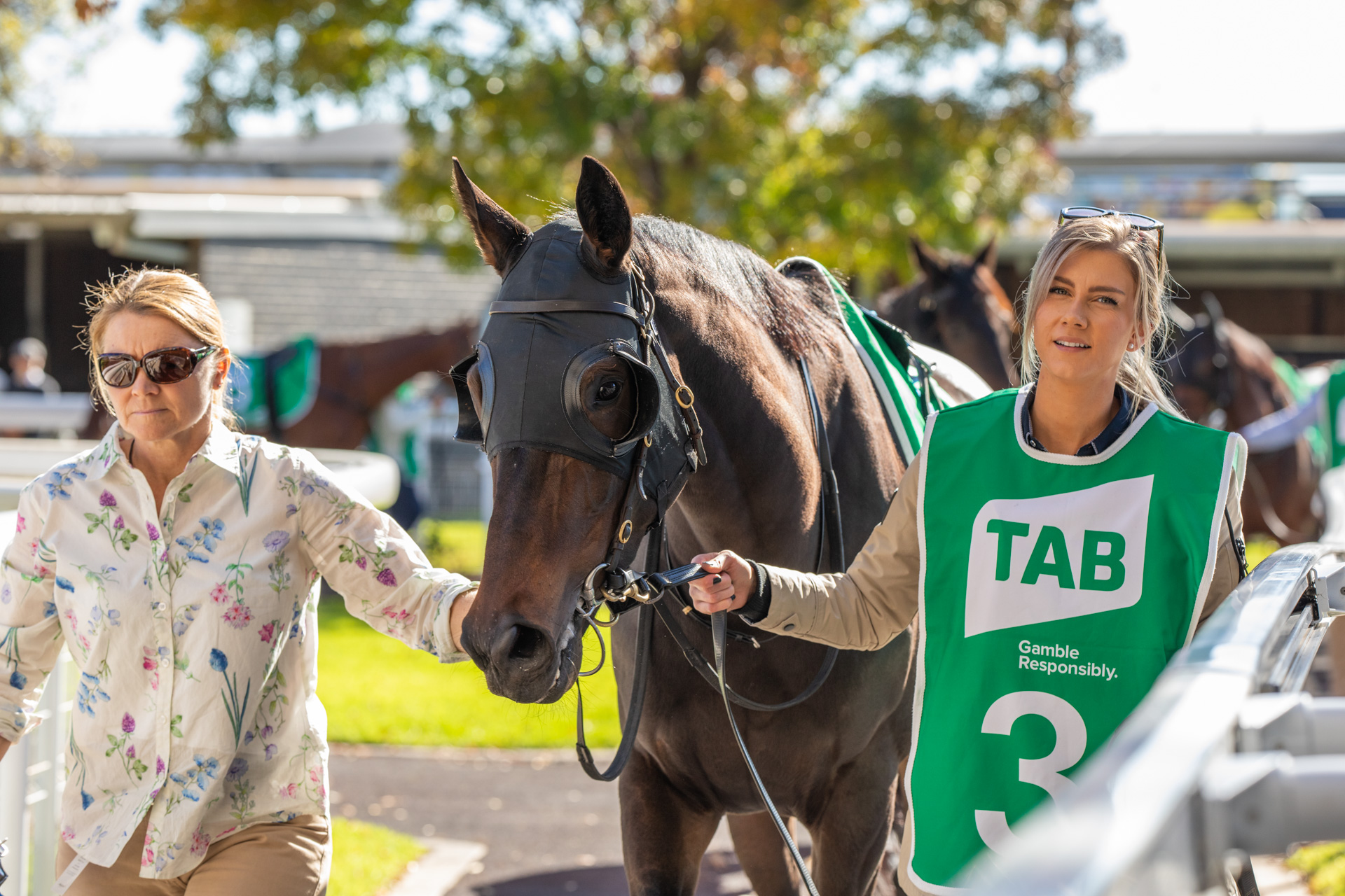 Paula’s roller-coaster: High-profile guests & high winds | Country ...