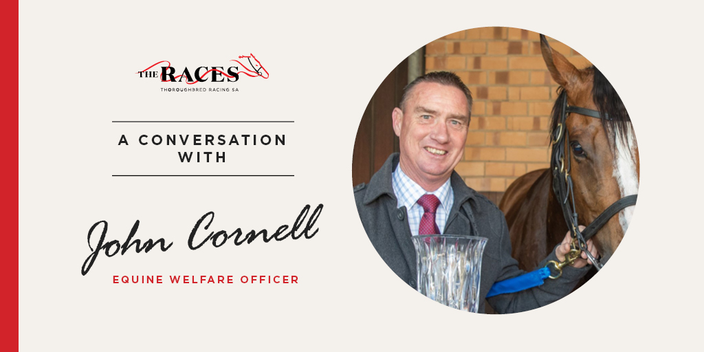 A conversation with… TRSA equine welfare officer John Cornell | Country ...