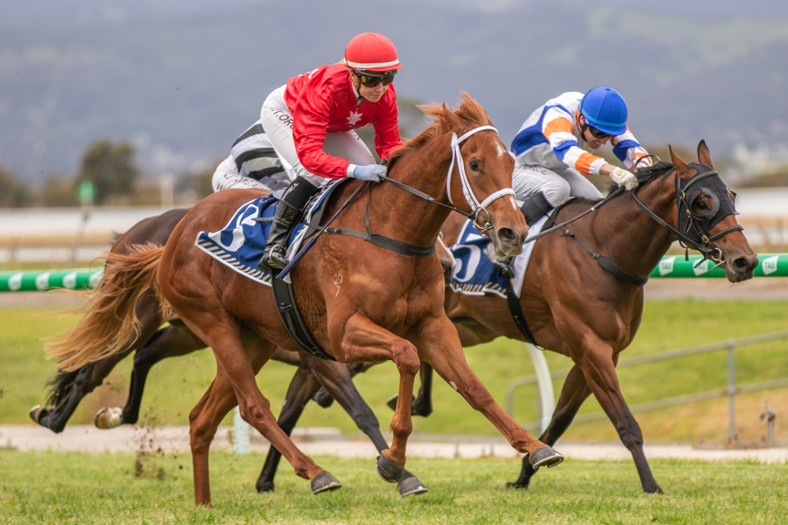 Instant Celebrity lives up to her name, while Logan, Dodgson and ...