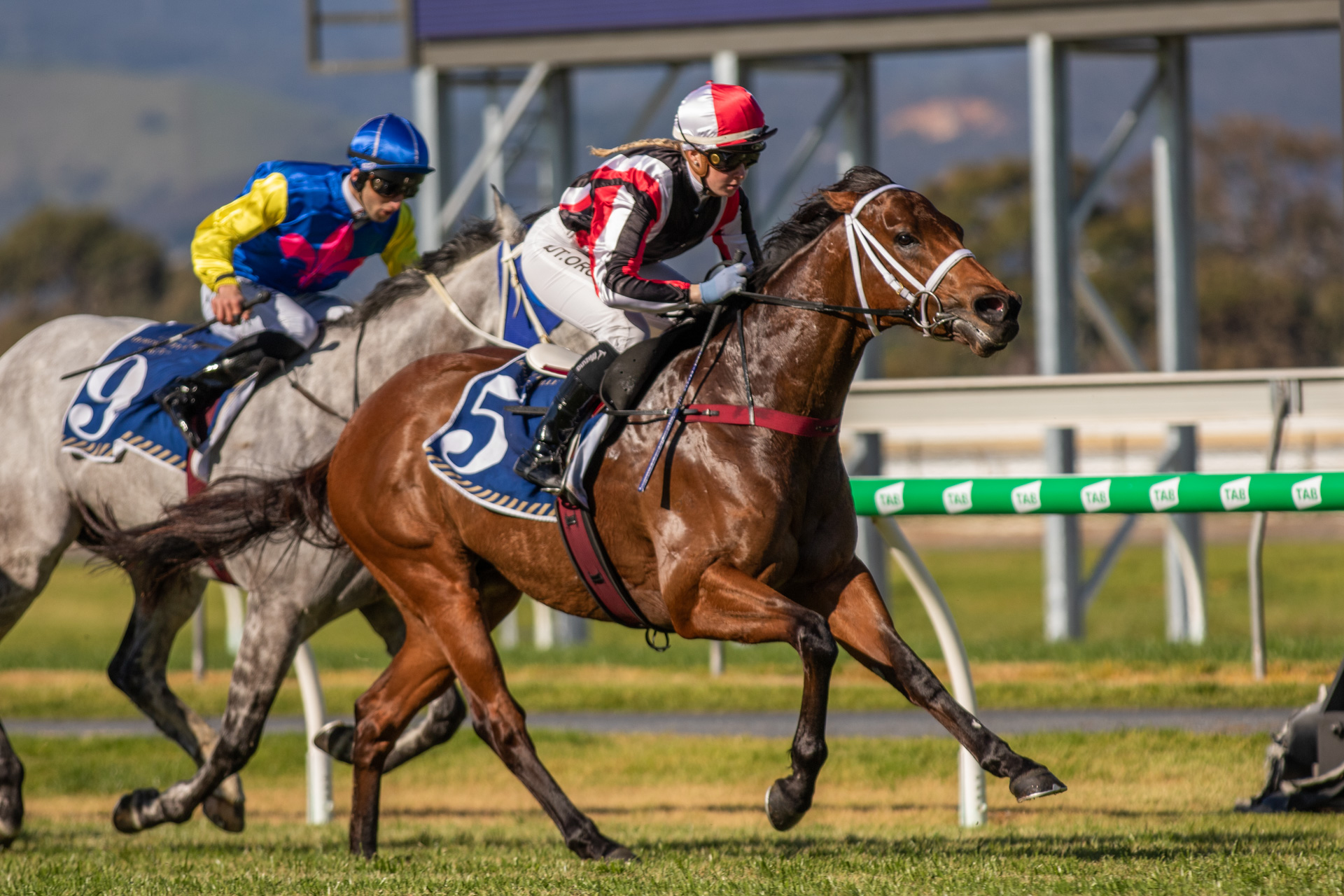 In-form SA runners descend on Flemington | Country Racing SA