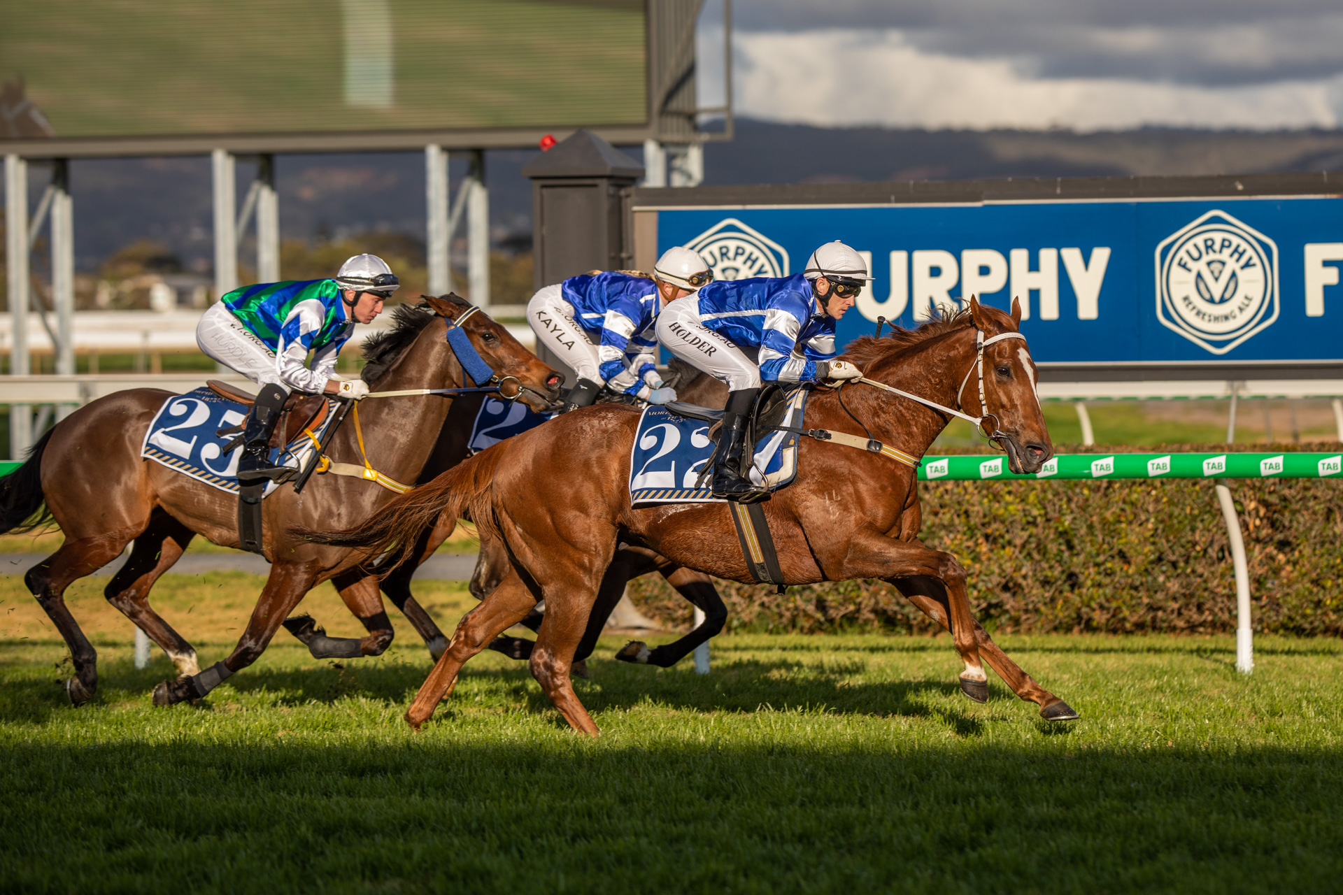 SA sprint star Gytrash on road to Everest | Country Racing SA