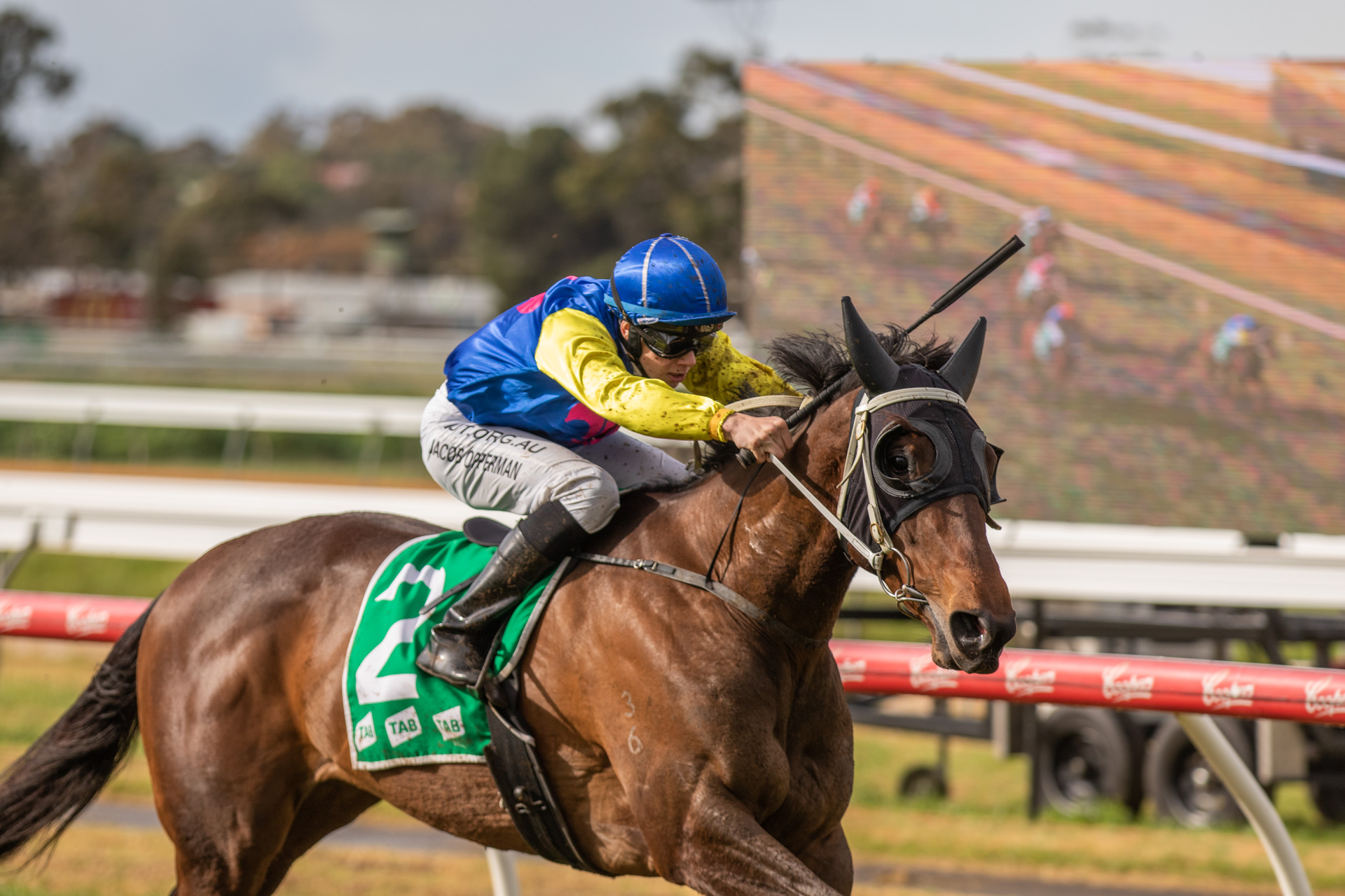 Opperman's sizzling scorecard | Country Racing SA