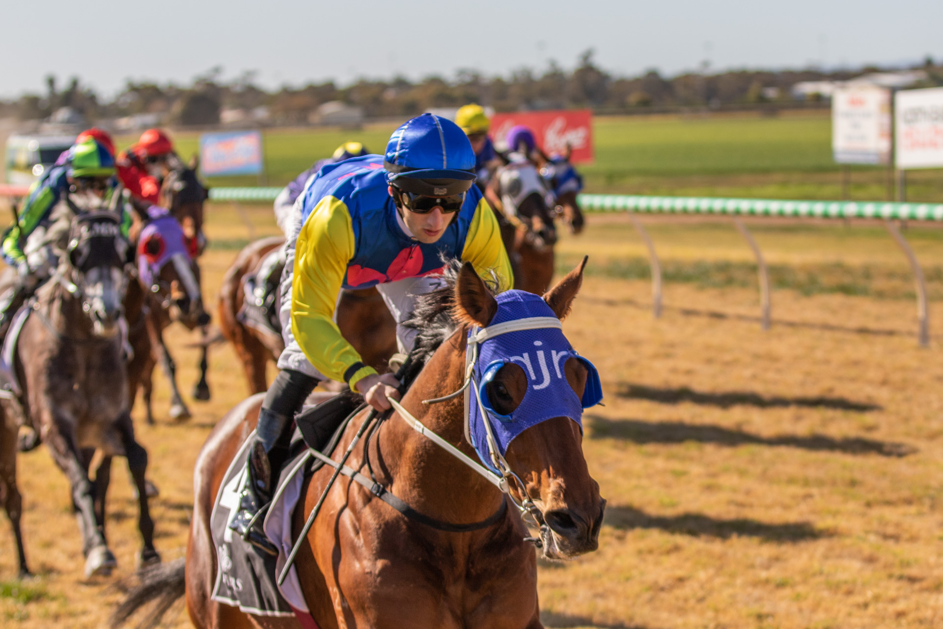 Dare to Dream delivering for lucky owners | Country Racing SA