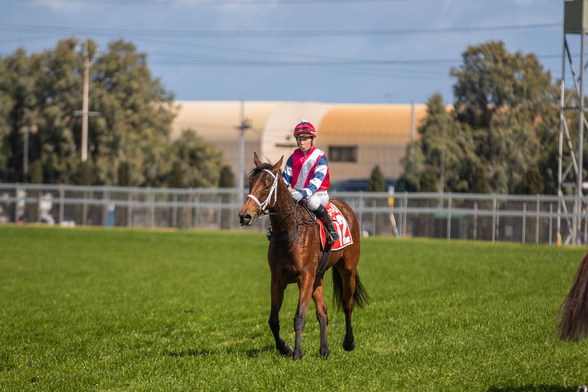 Stokes stable confident heading into Morphettville | Country Racing SA
