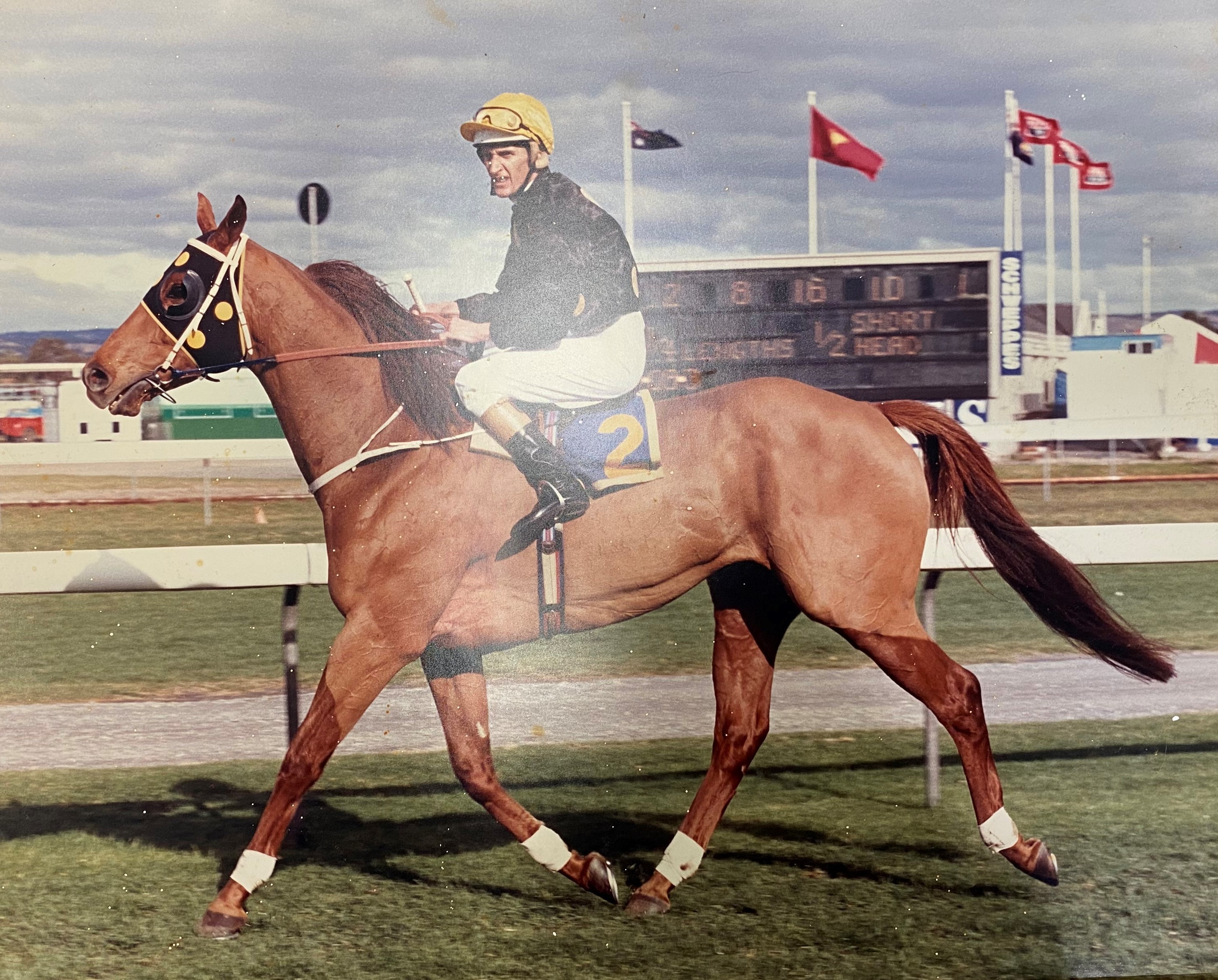 Remembering ‘Balf’ and ‘Beau’ | Country Racing SA