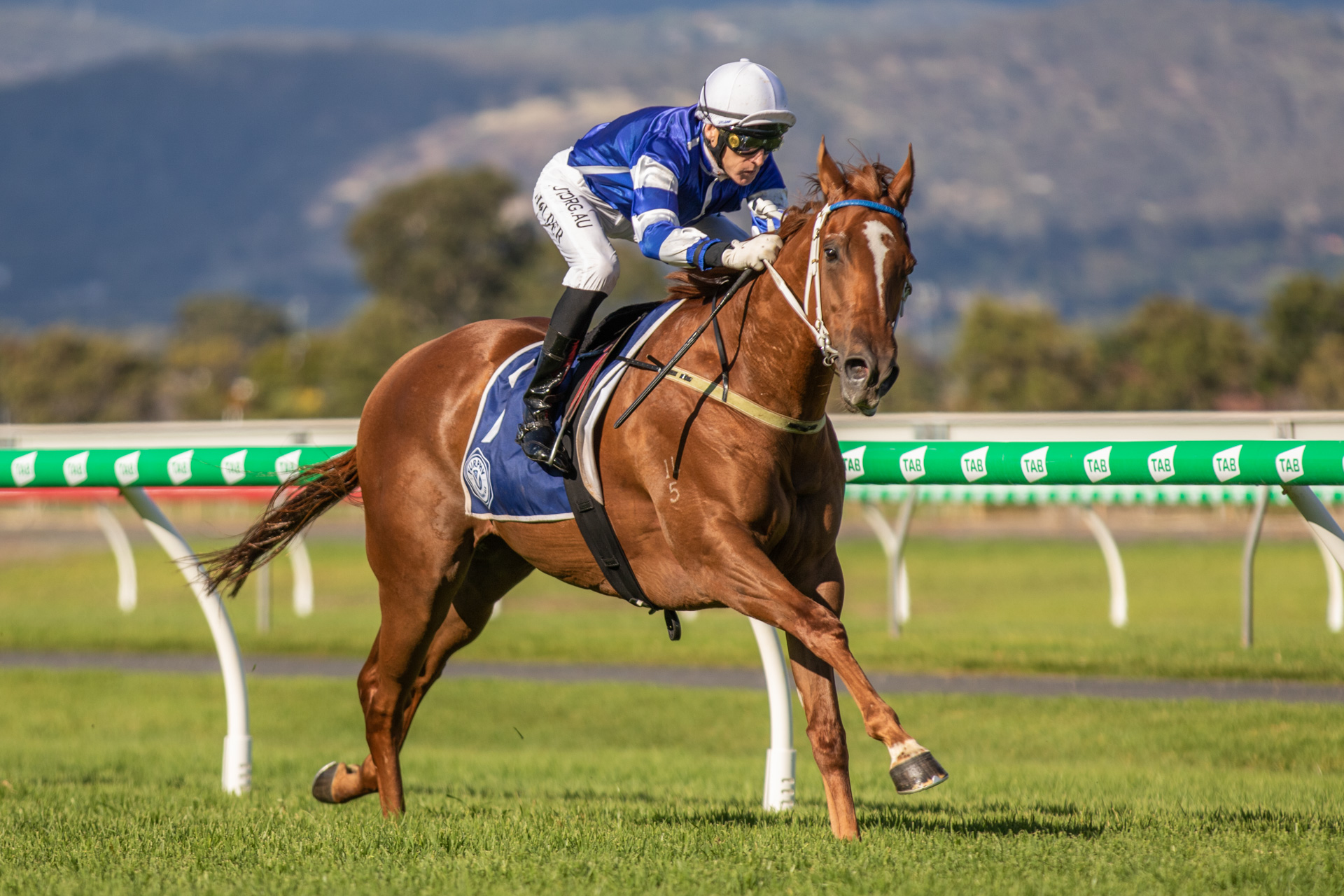 Gytrash gallant as Classique Legend claims Everest | Country Racing SA