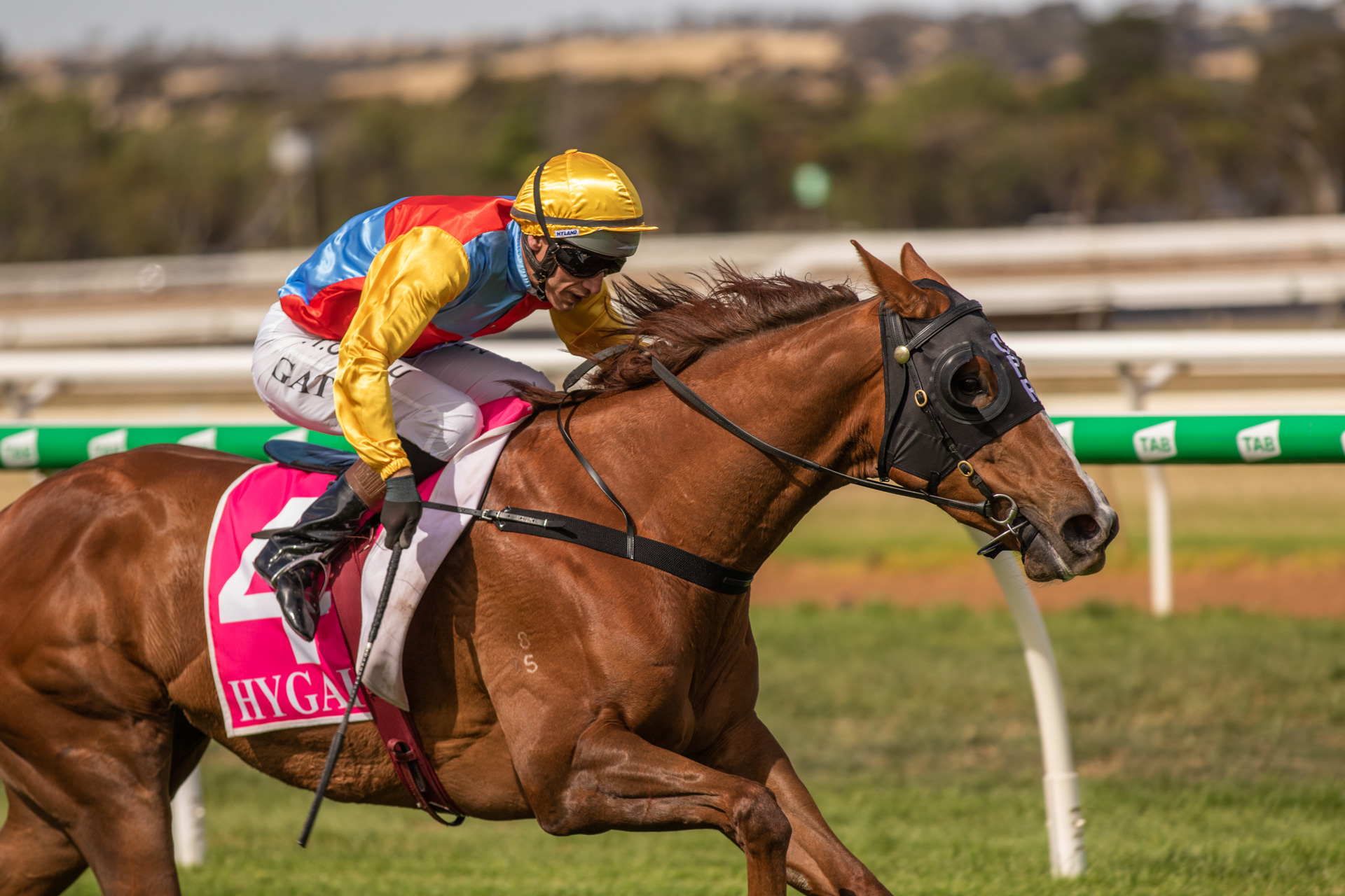 Racing calendar changes confirmed | Country Racing SA