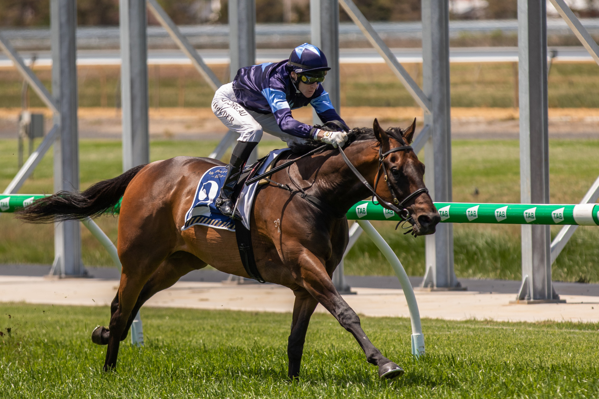 Lincoln Moore's Morphettville Parks Preview | Country Racing SA