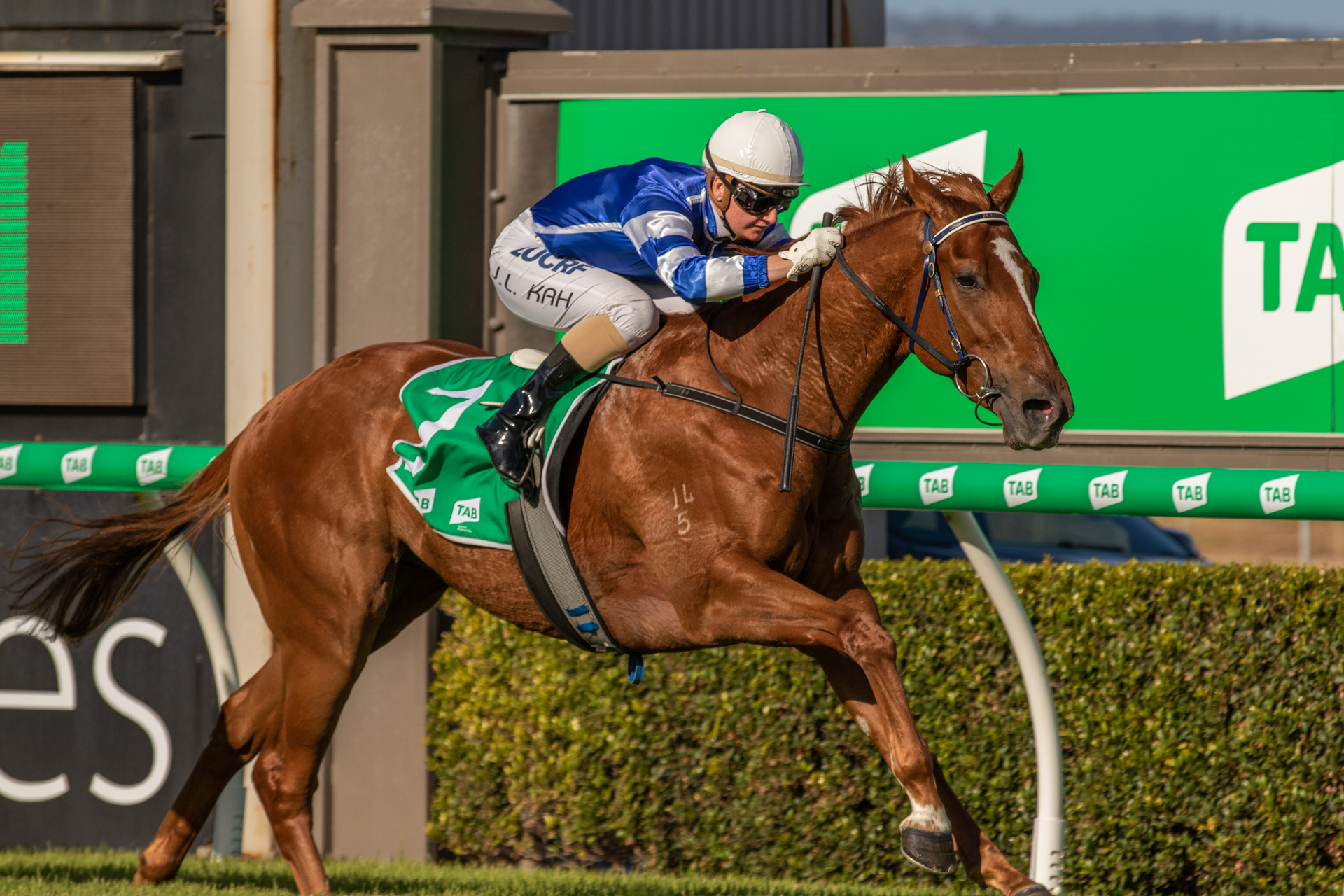 TRSA boosts vital SABOIS scheme | Country Racing SA