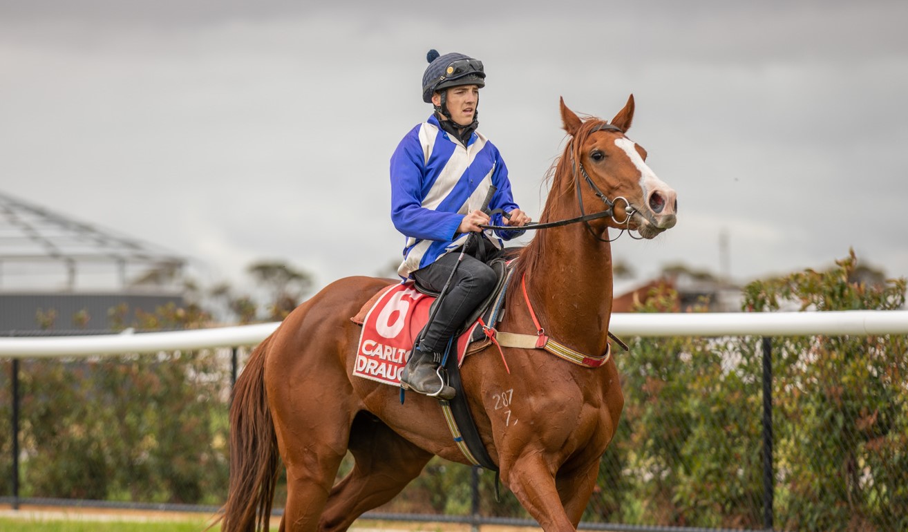 Diverse handful ready to hit the track | Country Racing SA