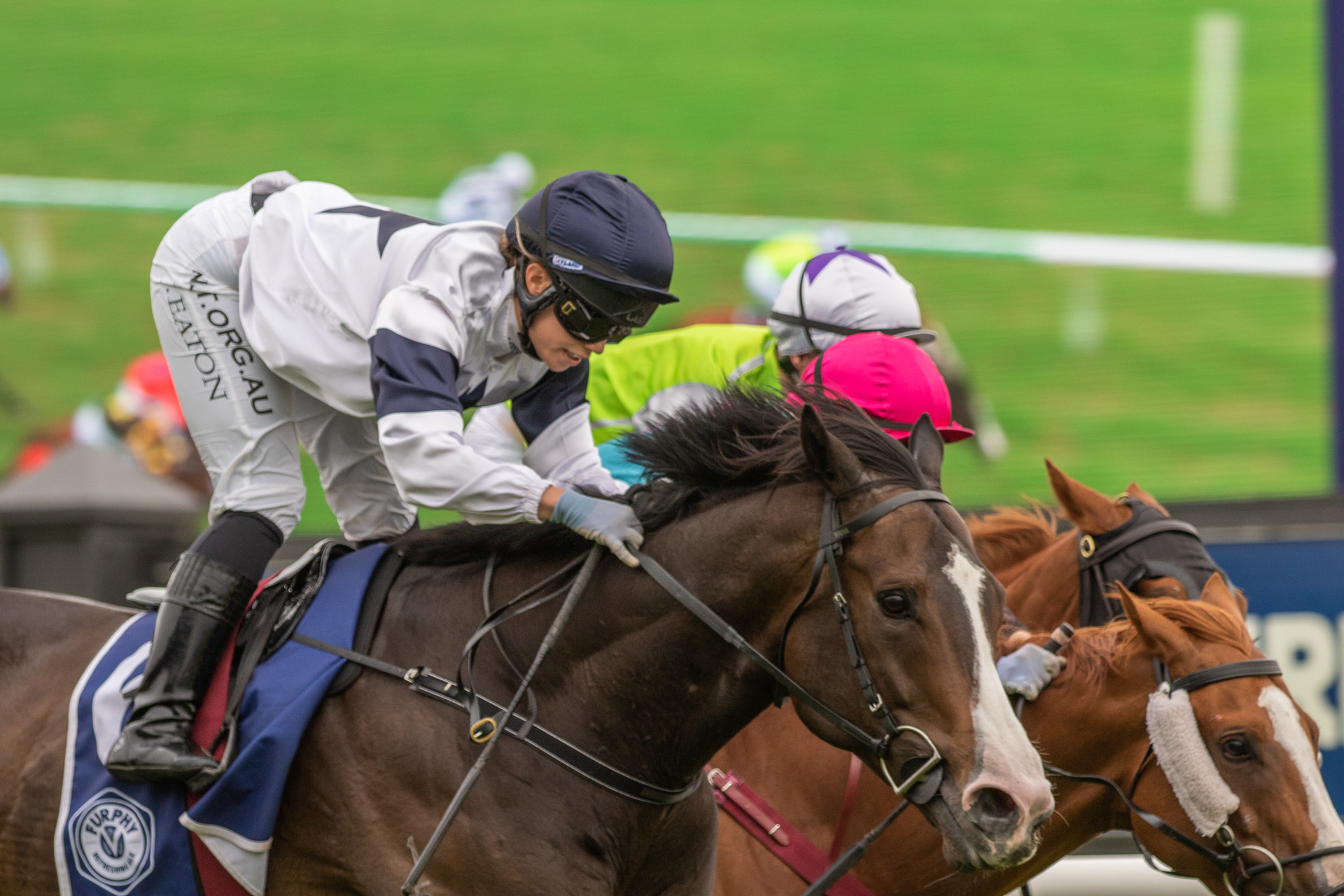 Hickmott dreams of perfect finish to 2020 | Country Racing SA