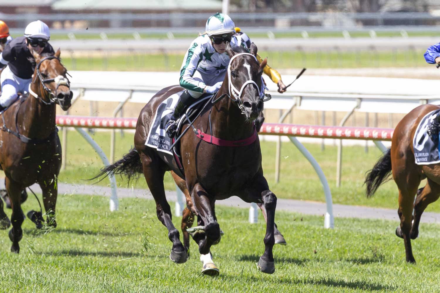 Mum’s first winner makes Kayla’s ‘favourite day’ | Country Racing SA