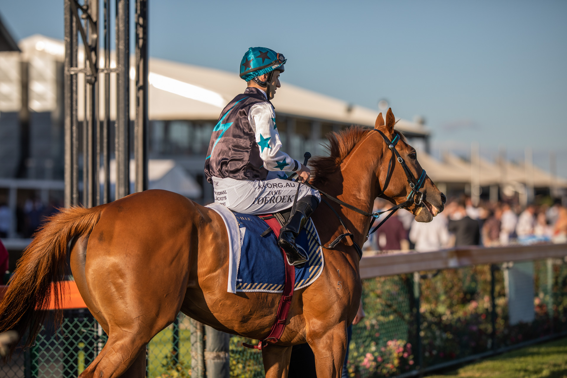 Lincoln Moore's Bordertown Preview | Country Racing SA