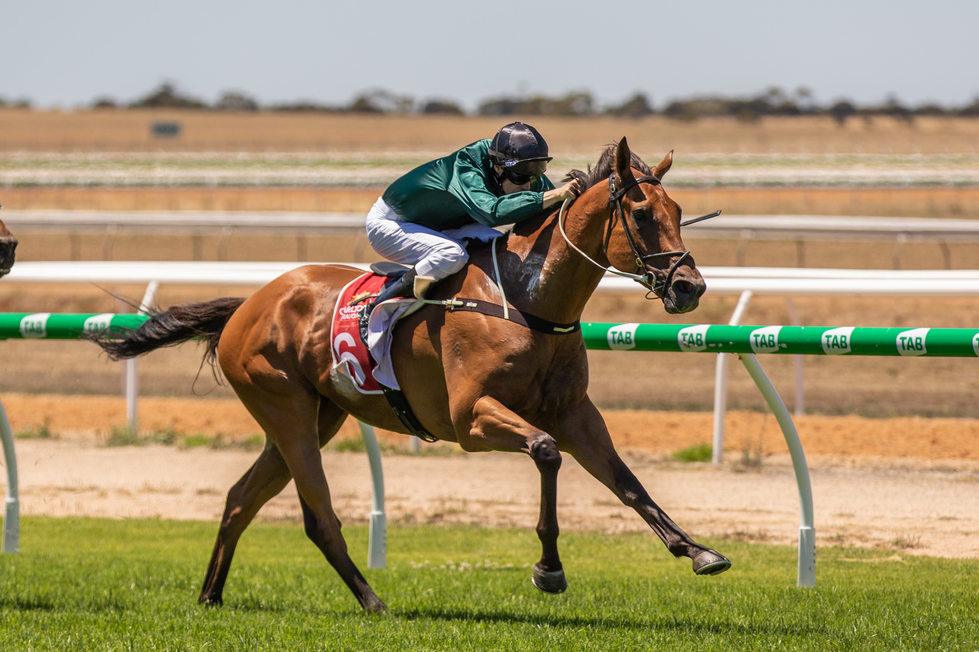 Second Slip’s slashing Aussie debut a weekend highlight | Country Racing SA