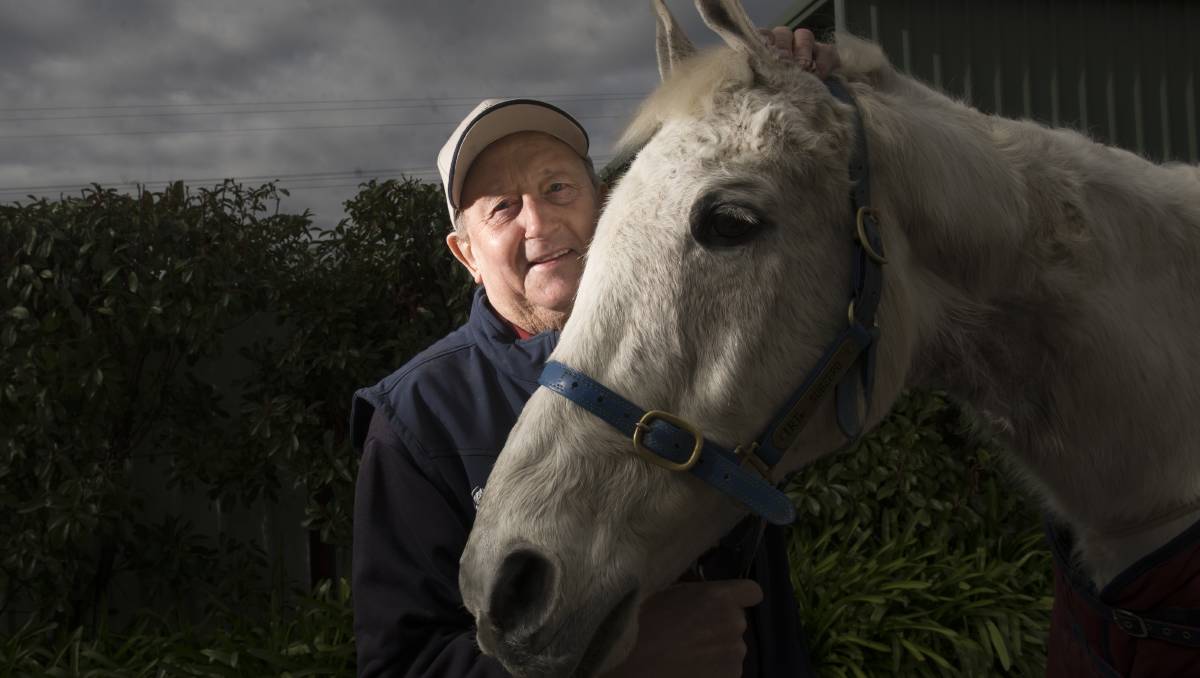 Graham Salisbury and Subzero to be honoured at the Australian Racing ...
